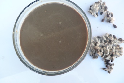 Cotton Seed Soup – Obe Koowu – Top Nigerian Food Blog
