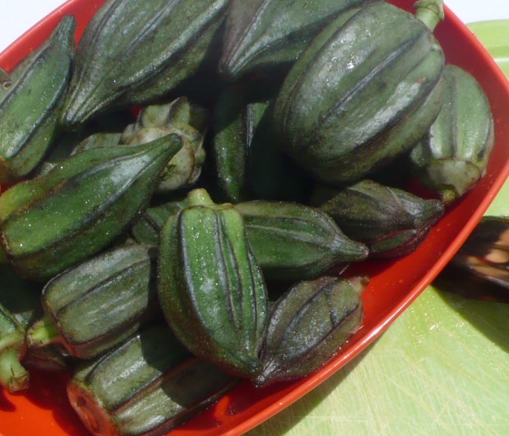Native Okro Soup without Oil – Top Nigerian Food Blog