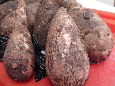 Red Cocoyam pottage – Top Nigerian Food Blog