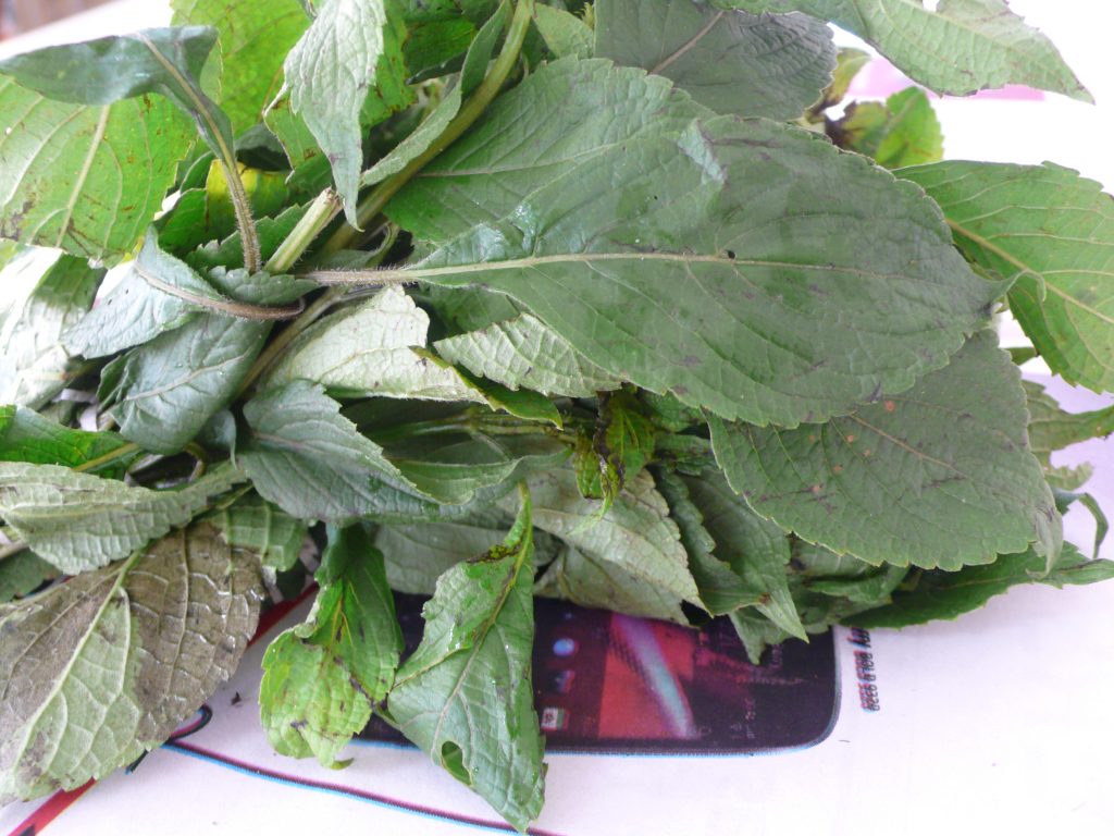 How to make Ukang? – Top Nigerian Food Blog